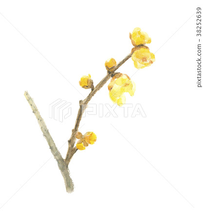 Lowbye wax plume - Stock Illustration [38252639] - PIXTA