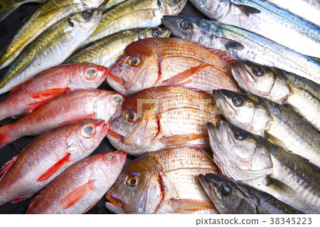 Assorted fish - Stock Photo [38345223] - PIXTA