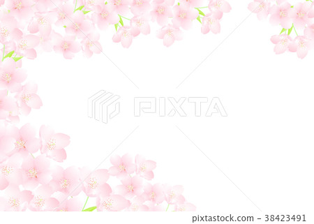 Cherry tree frame - Stock Illustration [38423491] - PIXTA