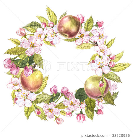 Hand-drawn watercolor wreath of flowers of apples - Stock Illustration ...