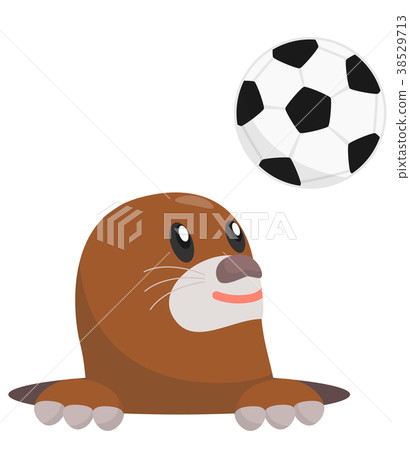 Mole and soccer ball - Stock Illustration [38529713] - PIXTA