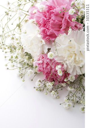 Flowers By Post Jersey Carnations | Best Flower Site