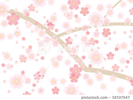 Background material Sakura - Stock Illustration [38597047] - PIXTA