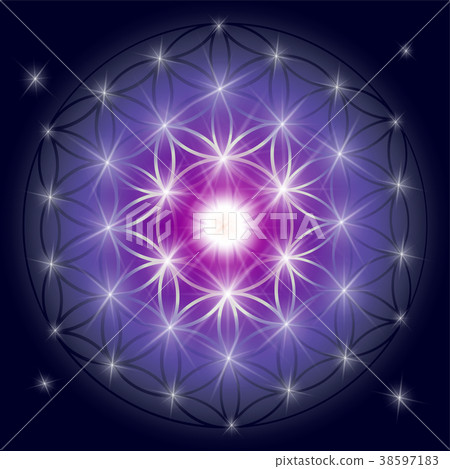 Flower of Life or The Pattern of Creation. - Stock Illustration ...