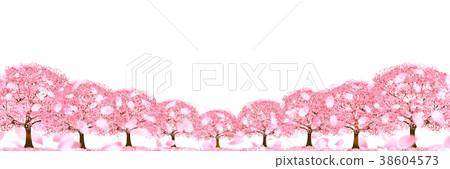 Sakura spring flower background - Stock Illustration [38604573] - PIXTA