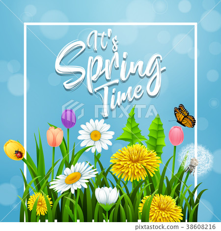 It's Spring Time. Beautiful meadow flowers on blue - Stock Illustration ...