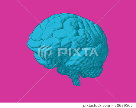 Perspective drawing brain illustration - Stock Illustration [38689563 ...