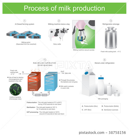 Process of milk production. Illustration. - Stock Illustration ...
