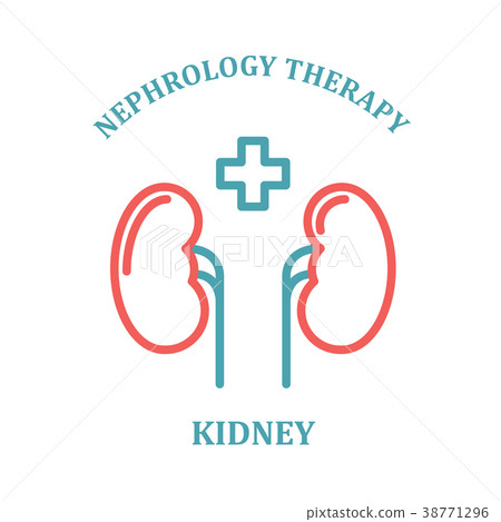 Kidney simple icon - nephrology department - Stock Illustration ...