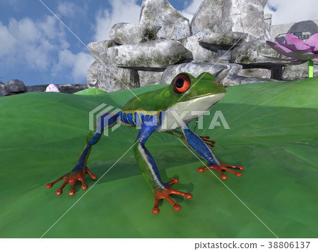Parachute frog - Stock Illustration [38806137] - PIXTA
