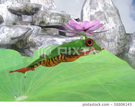 Parachute frog - Stock Illustration [38806143] - PIXTA