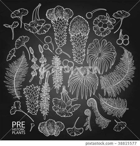 Collection of vector prehistoric plants - Stock Illustration [38815577 ...