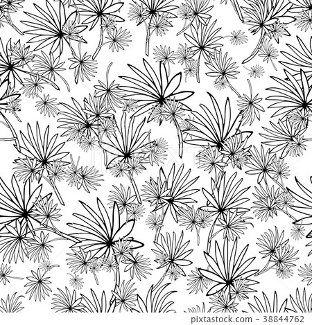 Floral seamless pattern, sketch for your design-插圖素材 [38844762] - PIXTA圖庫