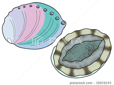 Black Abalone Coloring Book - Stock Illustration [38858243] - PIXTA