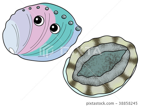 Black Abalone Character Coloring - Stock Illustration [38858245] - PIXTA