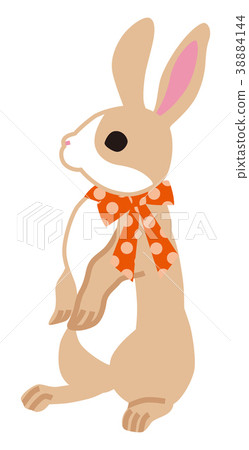 Easter Rabbit-Stand Side Profile - Stock Illustration [38884144] - PIXTA
