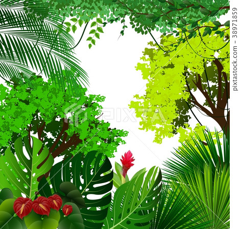 Tropical jungle background with palm trees and lea - Stock Illustration ...