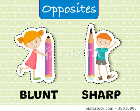Opposite words for blunt and sharp-插圖素材 [39016905] - PIXTA圖庫