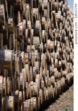 Timber storage area - Stock Photo [39033794] - PIXTA