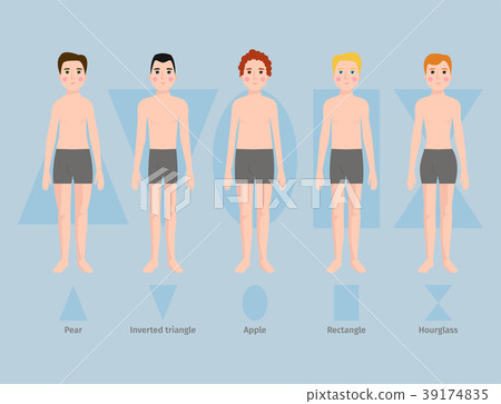 Vector illustration of different body shape types - Stock Illustration ...
