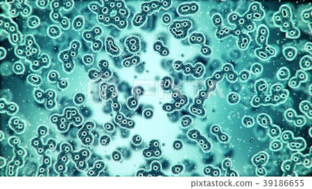 Microscopic plate of bacteria multiplying - Stock Illustration ...