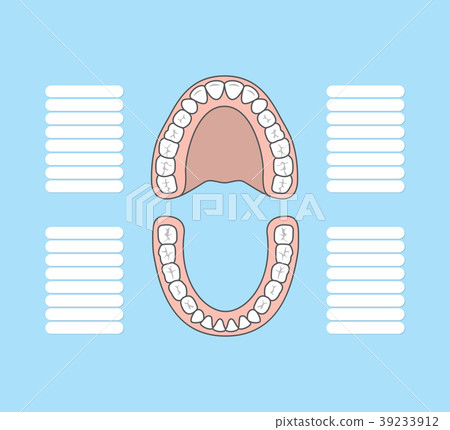 Tooth chart blank illustration vector on blue - Stock Illustration ...