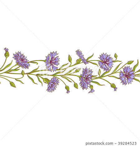 Cornflower Vector