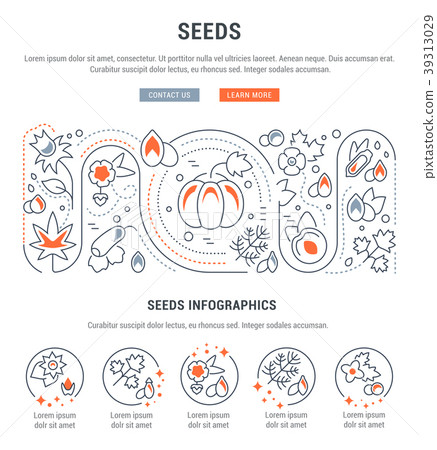Website Banner and Landing Page of Seeds. - Stock Illustration ...