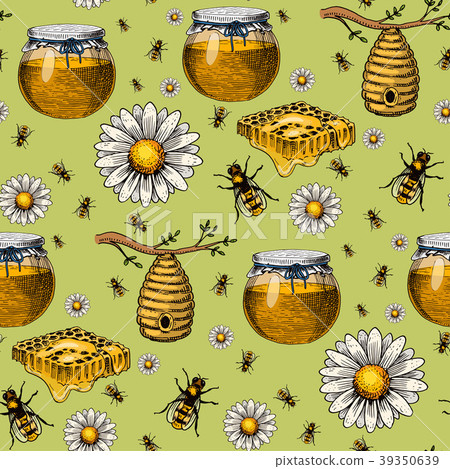 Apiary bee vector chamomile hand drawn vintage - Stock Illustration ...