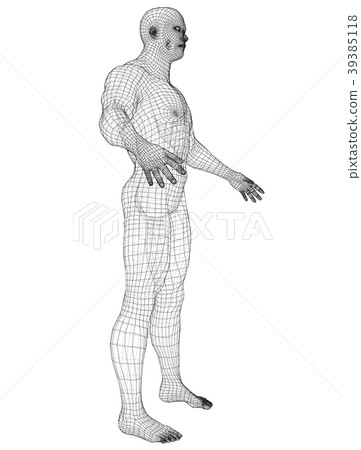 Wire frame athlete body on white background - Stock Illustration ...