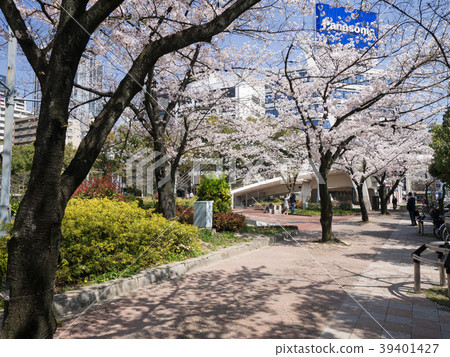 JAPN 110 Final Project: Group 8 | Sally Jiang, Mengwen Shi, Devon Rall ...