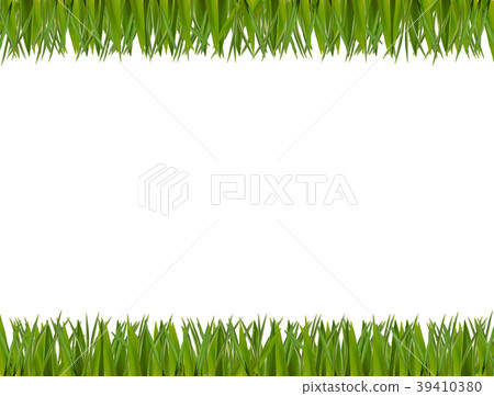 green grass horizontal frame isolated on white - Stock Illustration ...