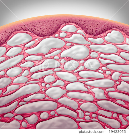 Interstitium Organ concept - Stock Illustration [39422053] - PIXTA