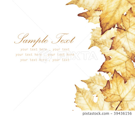 Maple leaves with place for text - Stock Illustration [39436156] - PIXTA