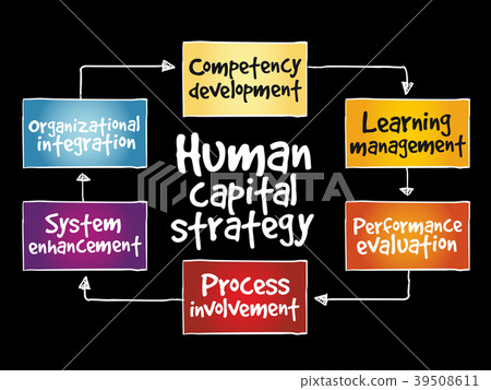 Human capital strategy mind map - Stock Illustration [39508611] - PIXTA
