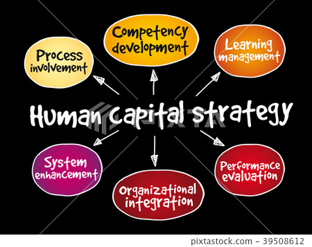 Human capital strategy mind map - Stock Illustration [39508612] - PIXTA