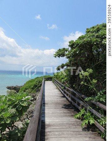 Promenade of wood deck with sea view - Stock Photo [39558924] - PIXTA