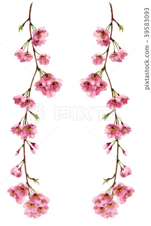 Vertical cherry vertical vertic frame - Stock Illustration [39583093 ...