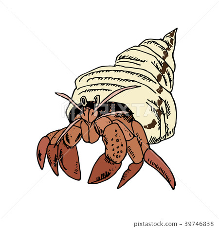 Yadokari vector illustration - Stock Illustration [39746838] - PIXTA