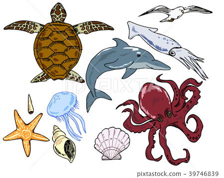 Summer sea creatures illustration set - Stock Illustration [39746839 ...