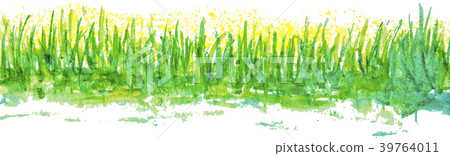 watercolor grass linear border - Stock Illustration [39764011] - PIXTA