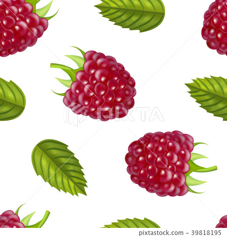Realistic Detailed Ripe Red Raspberry Berry - Stock Illustration ...