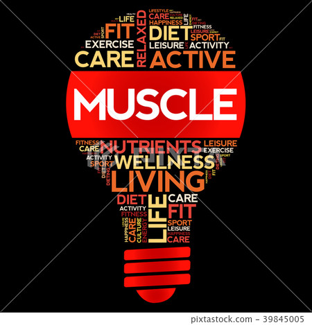 MUSCLE bulb word cloud collage - Stock Illustration [39845005] - PIXTA