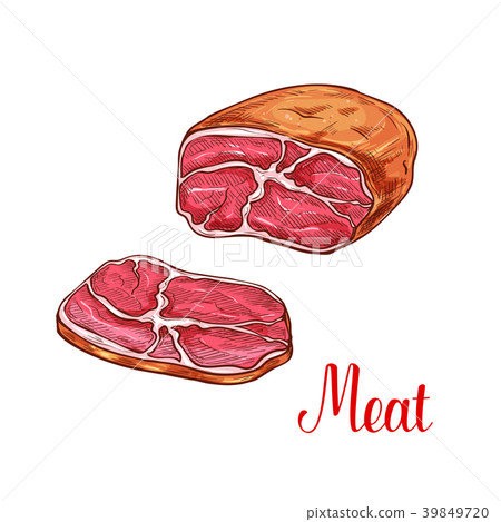Meat brisket sketch with slice of beef or pork - Stock Illustration ...