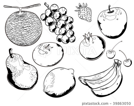 Set of Fruits Vector Illustration Line Art - Stock Illustration ...