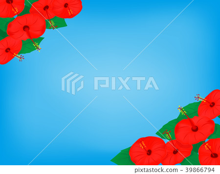 Hibiscus and sky southern country background... - Stock Illustration ...