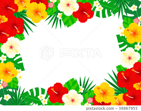 Hibiscus frame - Stock Illustration [39867955] - PIXTA