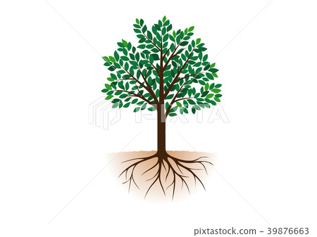 Rooted tree - Stock Illustration [39876663] - PIXTA