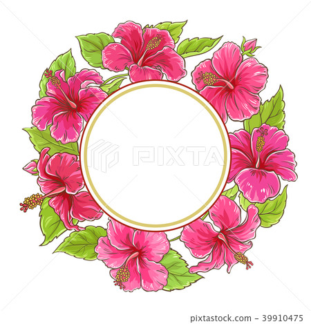 hibiscus vector frame - Stock Illustration [39910475] - PIXTA