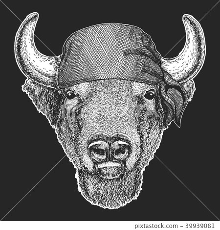 Buffalo, bison,ox, bull Cool pirate, seaman,... - Stock Illustration ...